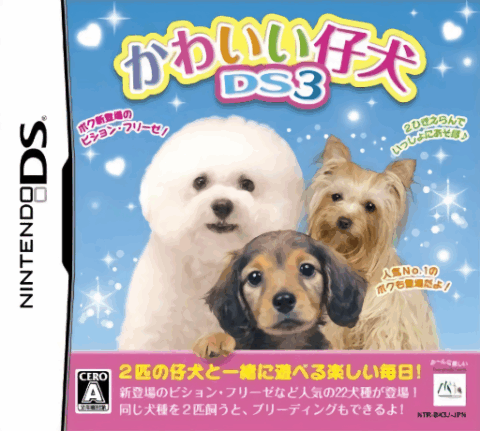 Nintendo DS (NDS) Game ROMs Download